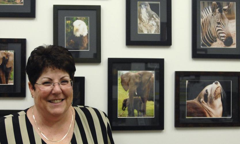 Laura Lamb goes from fighting fires to financial aid | Wednesday's ...