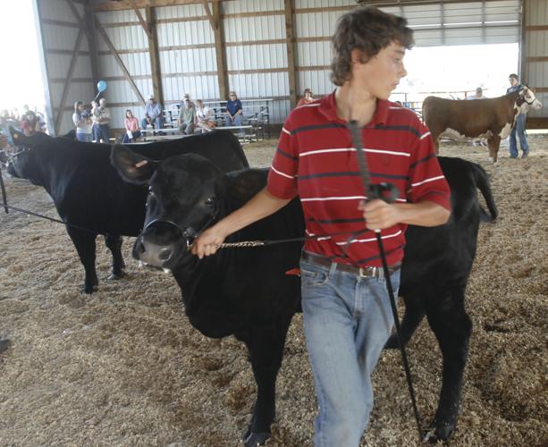 Cattle show ropes in a range of contestants | News | thenewsenterprise.com