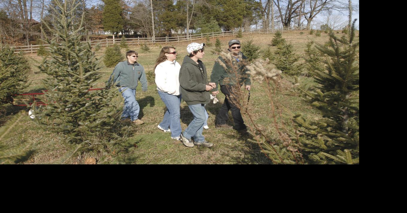 The great Christmas tree hunt | News | thenewsenterprise.com