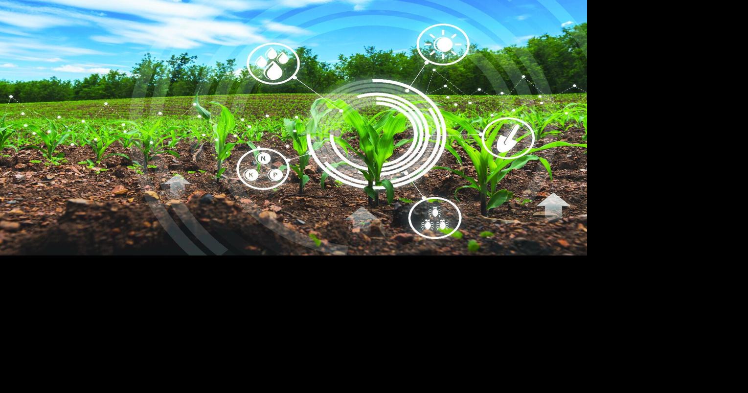 Complete soil testing in fall for improved spring plants, flowers ...