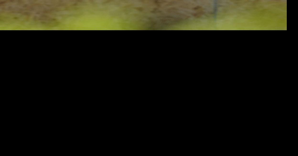 Photo: Burger King work continues | Local News | thenewsenterprise.com