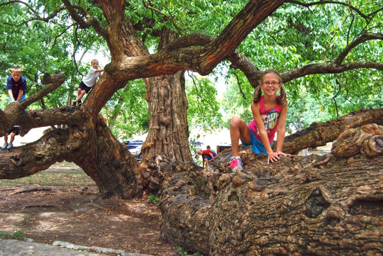 Visitors can experience pioneer days at Old Fort Harrod | Friday's ...