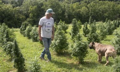 Hempstock Music Festival is this weekend | State News ...