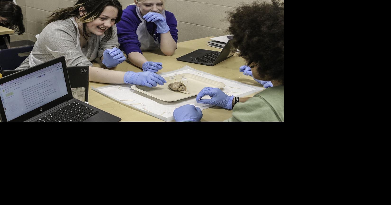 Forensic class teaching East Hardin students to think outside the box ...
