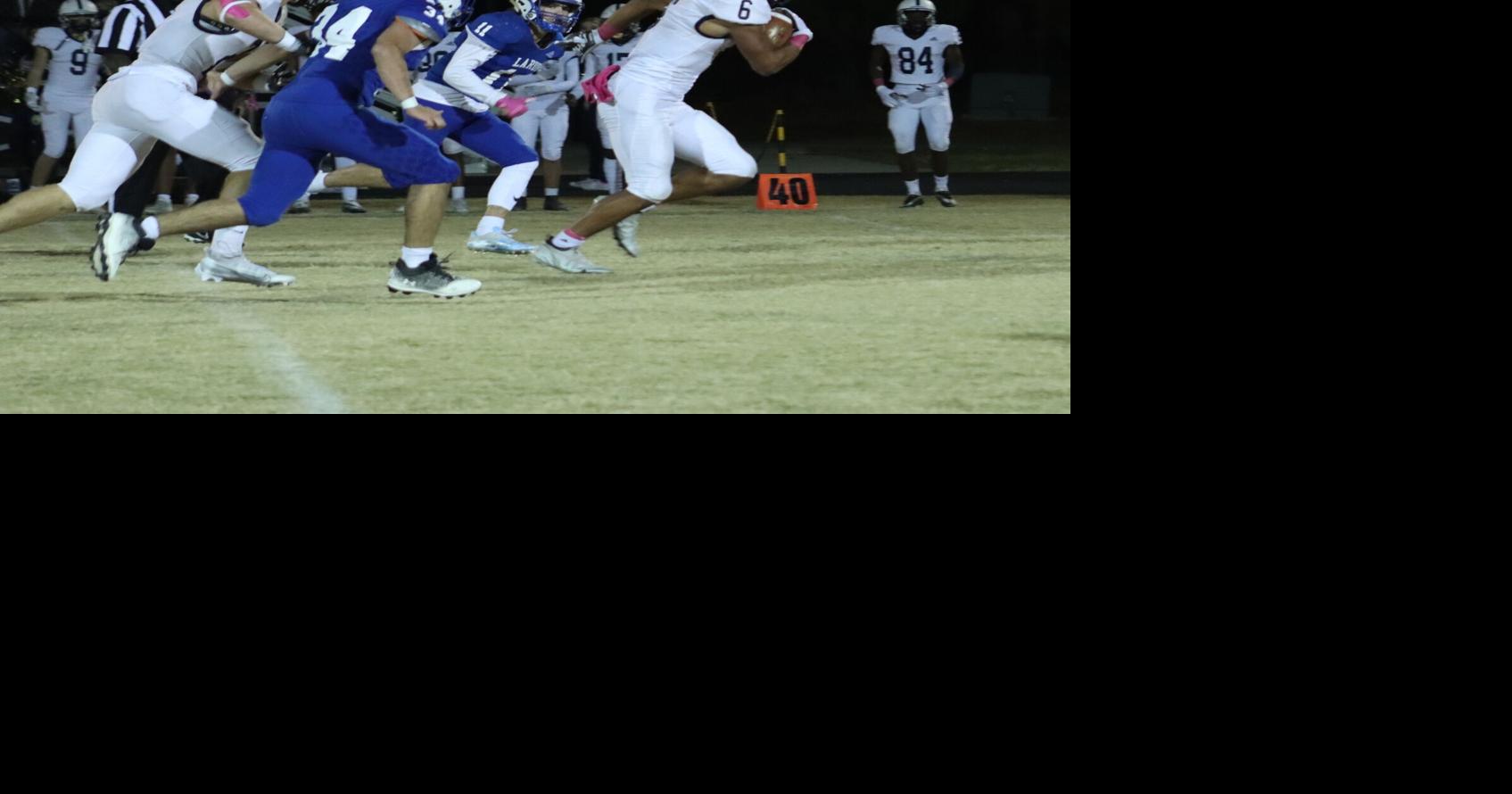 Social media posts fuel Panthers in rout of Hawks | High School Sports ...