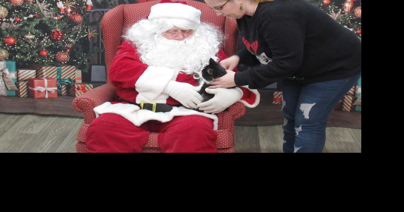 Pets get pictures with Santa at fundraiser | Local News ...