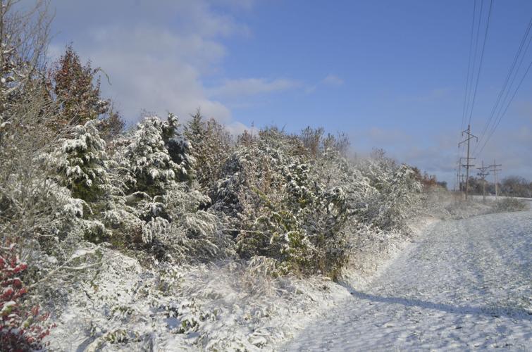 First snow of season | Local News | thenewsenterprise.com