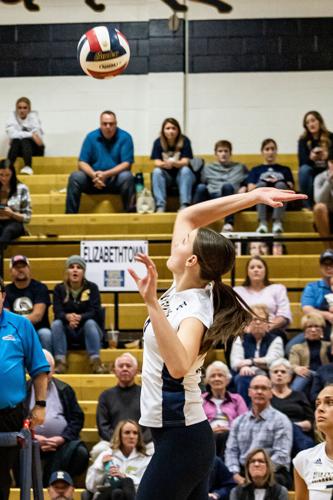 Smallwood plays key role for Lady Panther volleyball | Sports ...