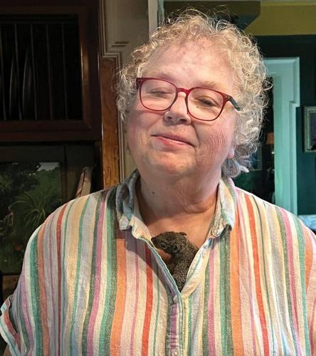 Two women on mission to reduce stray cat population | Wednesday's Woman ...