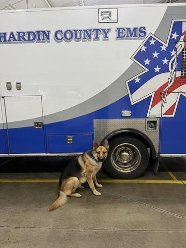 Money raised for service dog, will help EMS workers | Local News ...