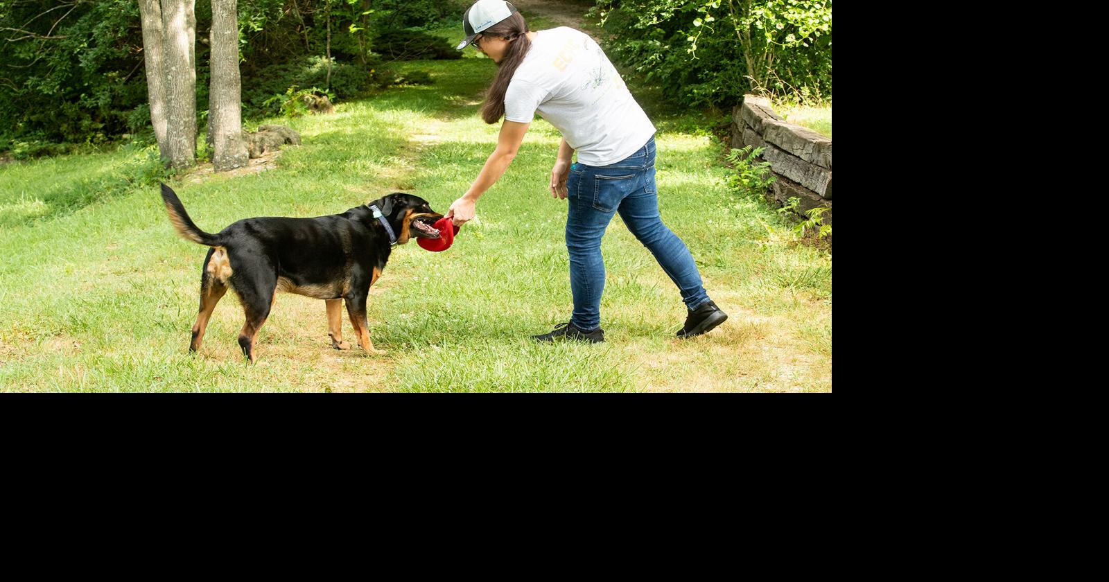 Fetching a good time | Local News | thenewsenterprise.com