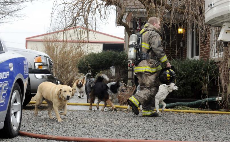 8 dogs escape from Rineyville kennel fire | Local News ...