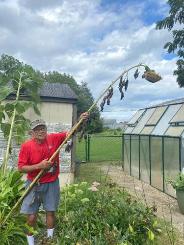 Veteran sows wisdom along with seeds at Devers Center | Monday's Man ...