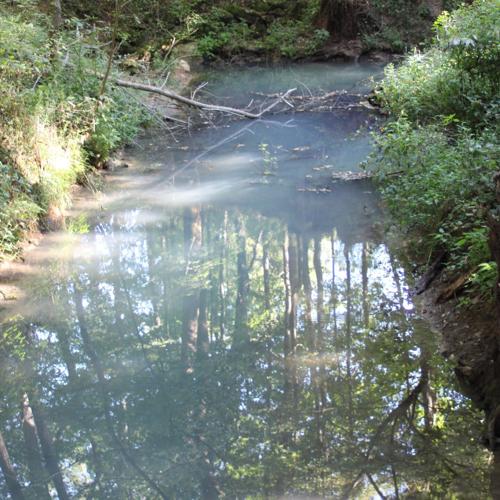 E. coli reported in Upton spring by WKU lab | Local News ...