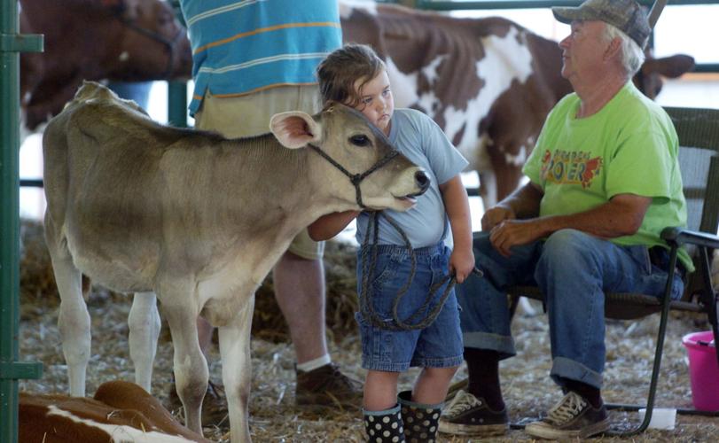 Showing cattle a labor of love | Local News | thenewsenterprise.com