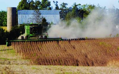 Photos: Fair weather farming | News | thenewsenterprise.com