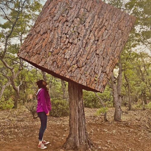 Bernheim announces next large art experience | Local News ...