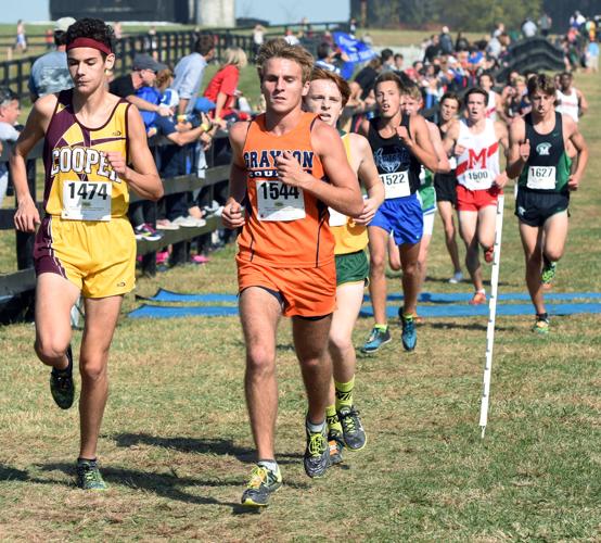 PREP CROSS COUNTRY: Greco leads Green Wave (11/6) | Sports ...