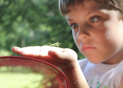 Celebrate critters at Bernheim's BugFest 2024 | | thenewsenterprise.com