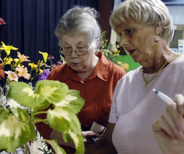 Hardin County Fair: Judges tasked to find best of the best | Local News ...