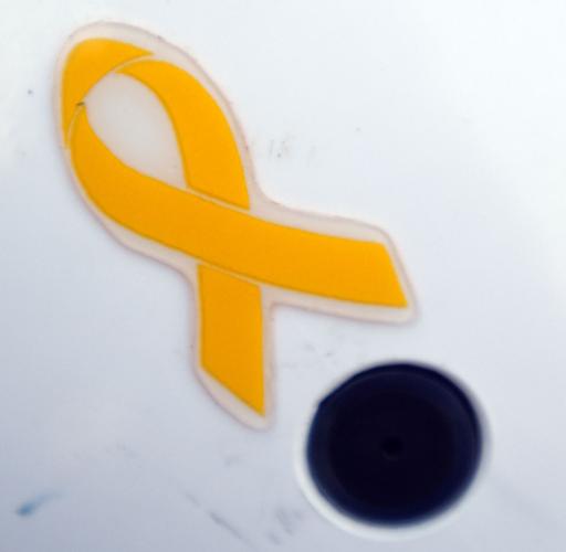 #GoGold for childhood cancer | Local News | thenewsenterprise.com