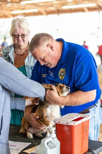 Animal control officer finds joy in ‘bringing animals back from the ...