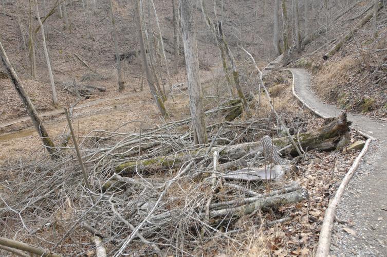 Saunders Springs on the path to recovery | News | thenewsenterprise.com