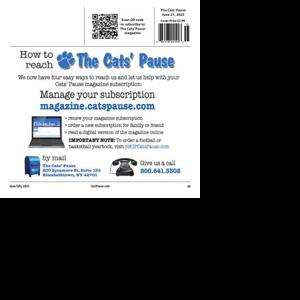 Page A48 | The Cats' Pause | thenewsenterprise.com