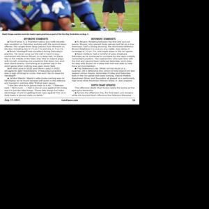 Page 20 | The Cats' Pause | thenewsenterprise.com