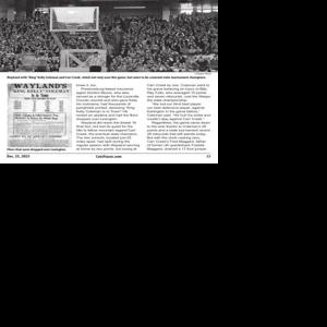 Page 19 | The Cats' Pause | thenewsenterprise.com