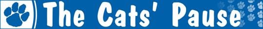Cats Pause | thenewsenterprise.com