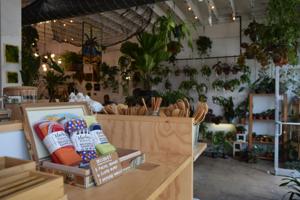 Guide to Central Avenue downtown | Culture | theonlinecurrent.com