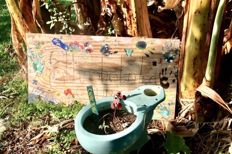 Eckerd College celebrates “Earth Week” with Shakespeare, herbs and ...