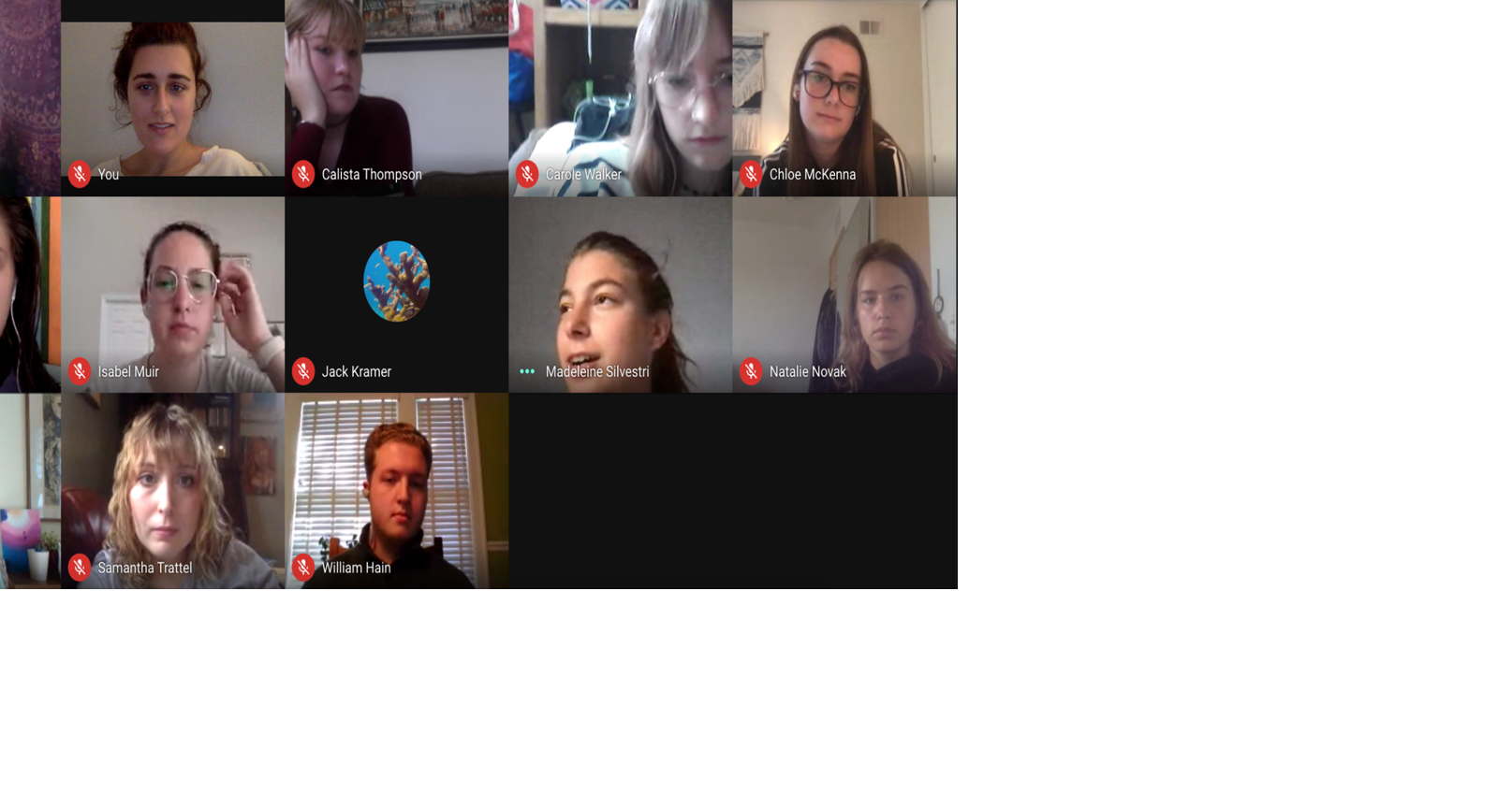 PIRG continues to organize students, campaigns at Eckerd, Florida, US ...