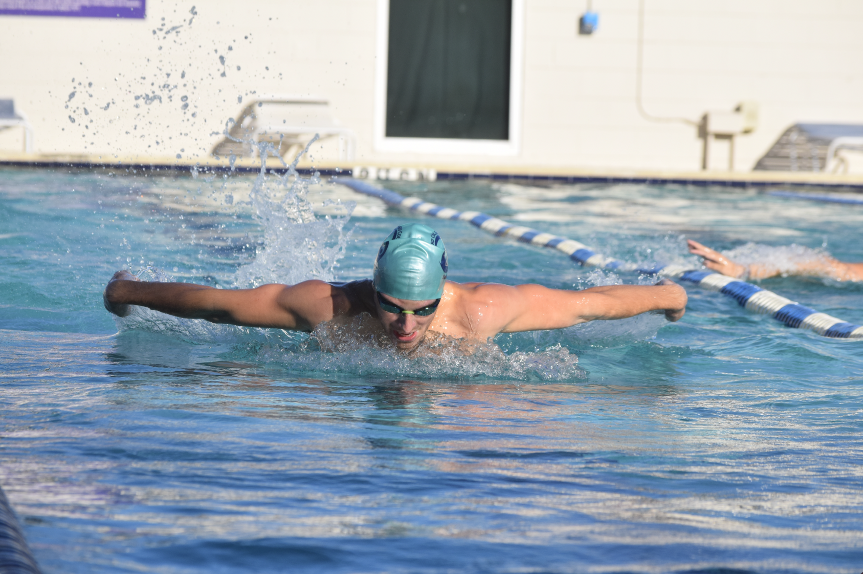 Everybody in the pool! Eckerd Swim Club attracts new members | Sports ...