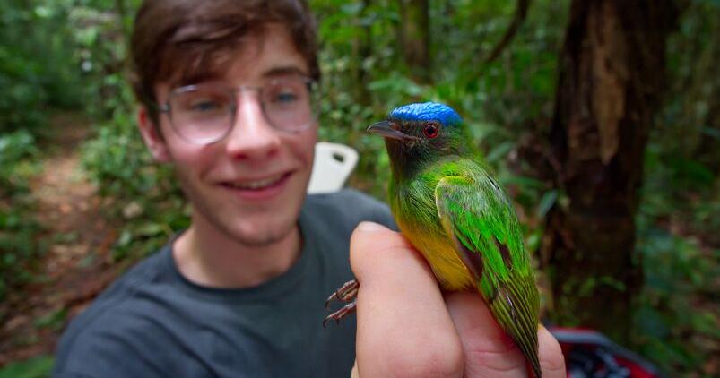 Learning from the Amazon: Rainforests and Conservation | Science And ...