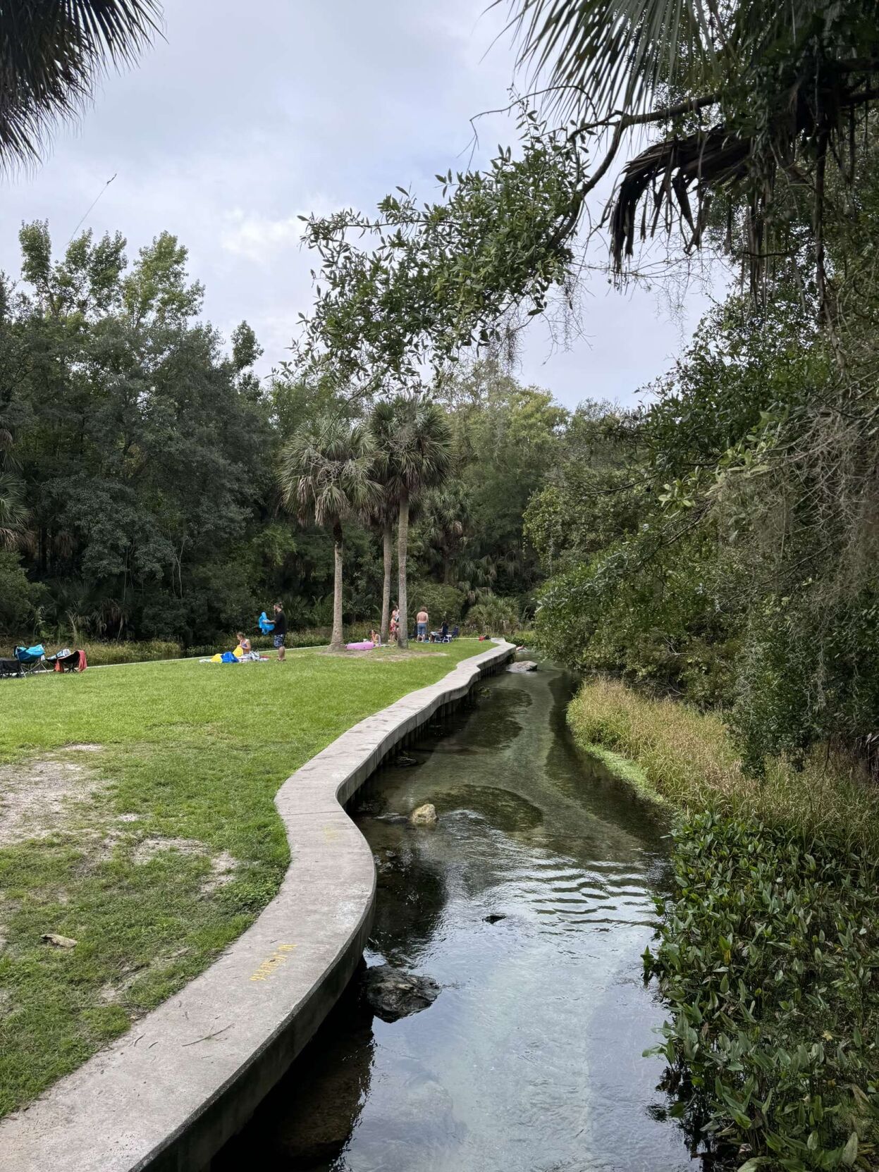 A day trip from Eckerd: Kelly Park/Rock Springs | Culture ...