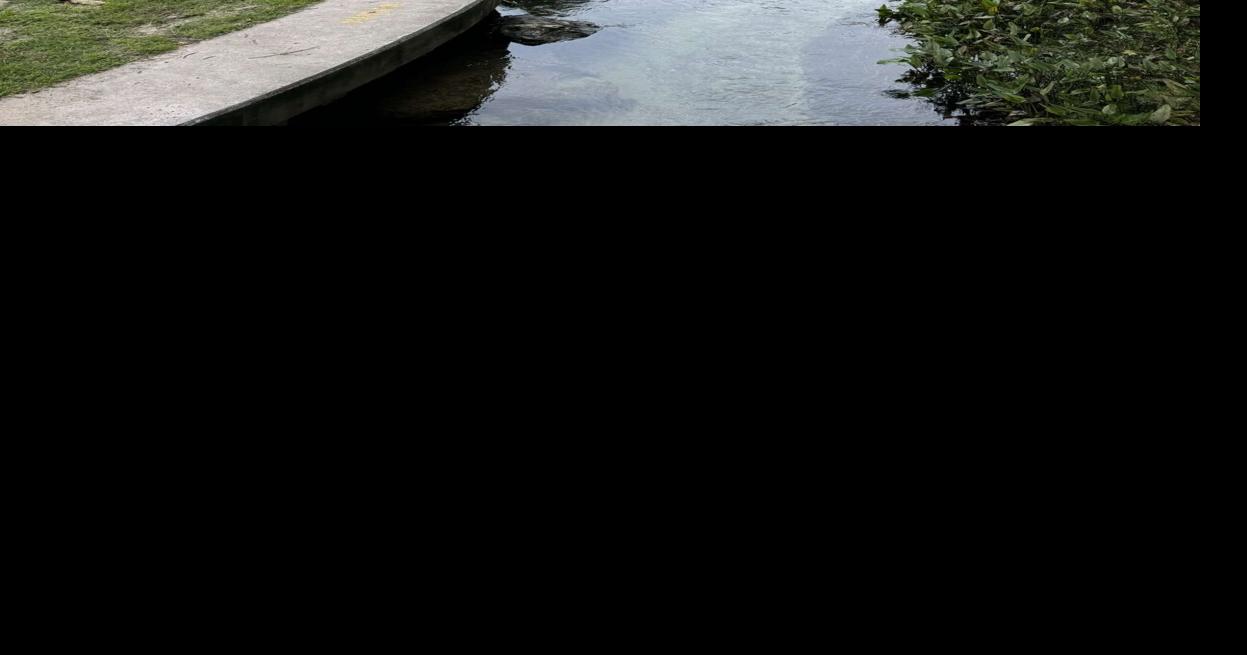 A day trip from Eckerd: Kelly Park/Rock Springs | Culture ...
