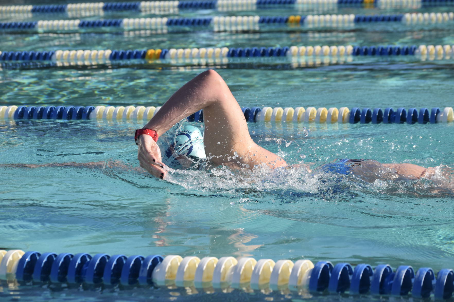 Everybody in the pool! Eckerd Swim Club attracts new members | Sports ...