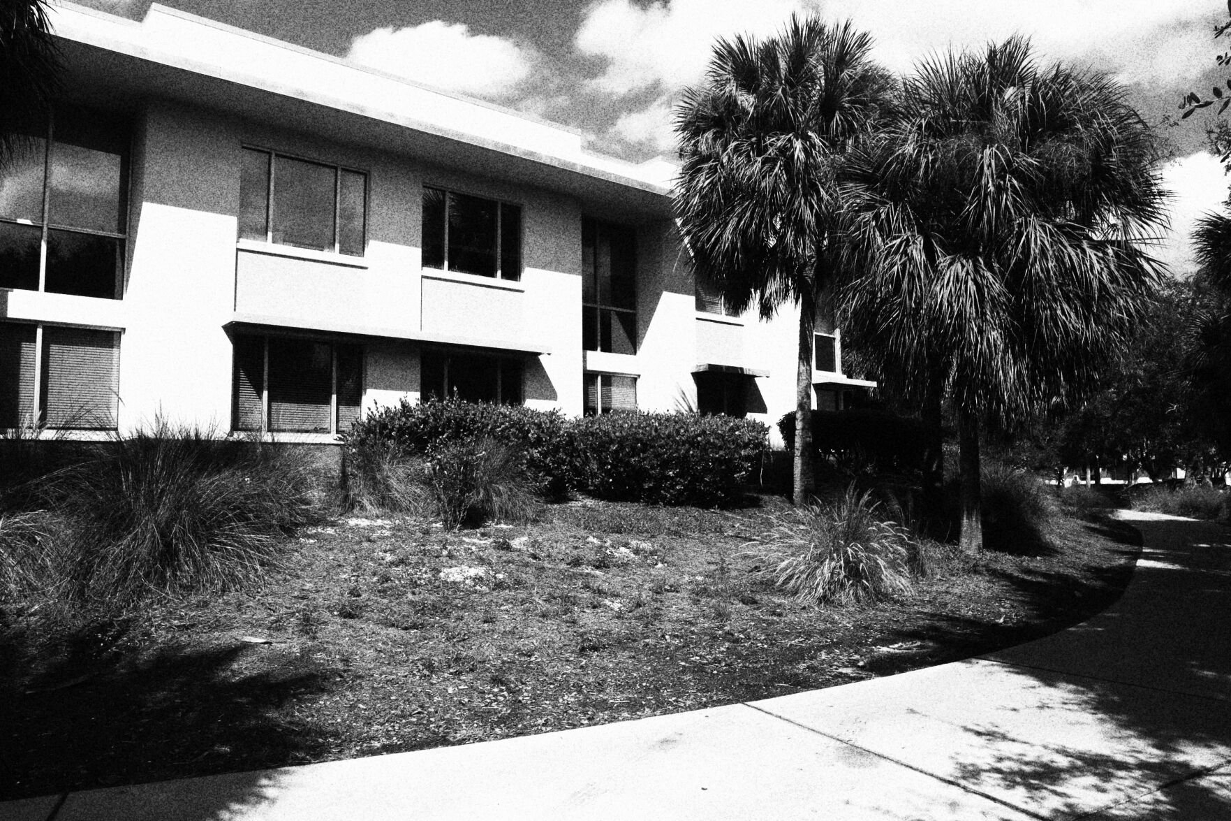 African American students talk about experience at Eckerd | Cat 5 ...