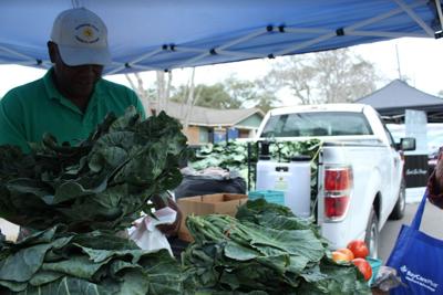 Black heritage exemplified through Collard Green Festival | News ...