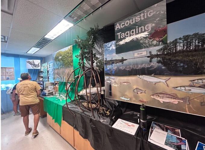 Marine Quest Pictures | Science And Technology | theonlinecurrent.com