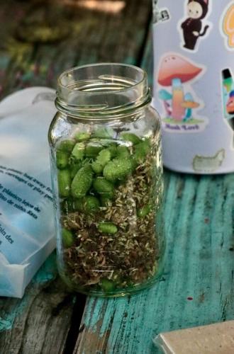 Eckerd College celebrates “Earth Week” with Shakespeare, herbs and ...