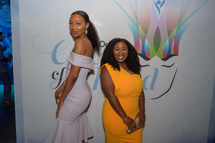 The Inaugural Colors of the Mind Event Draws Impressive Crowd | Events ...