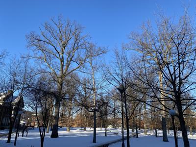 IUP students share exciting happenings from winter break | Culture ...