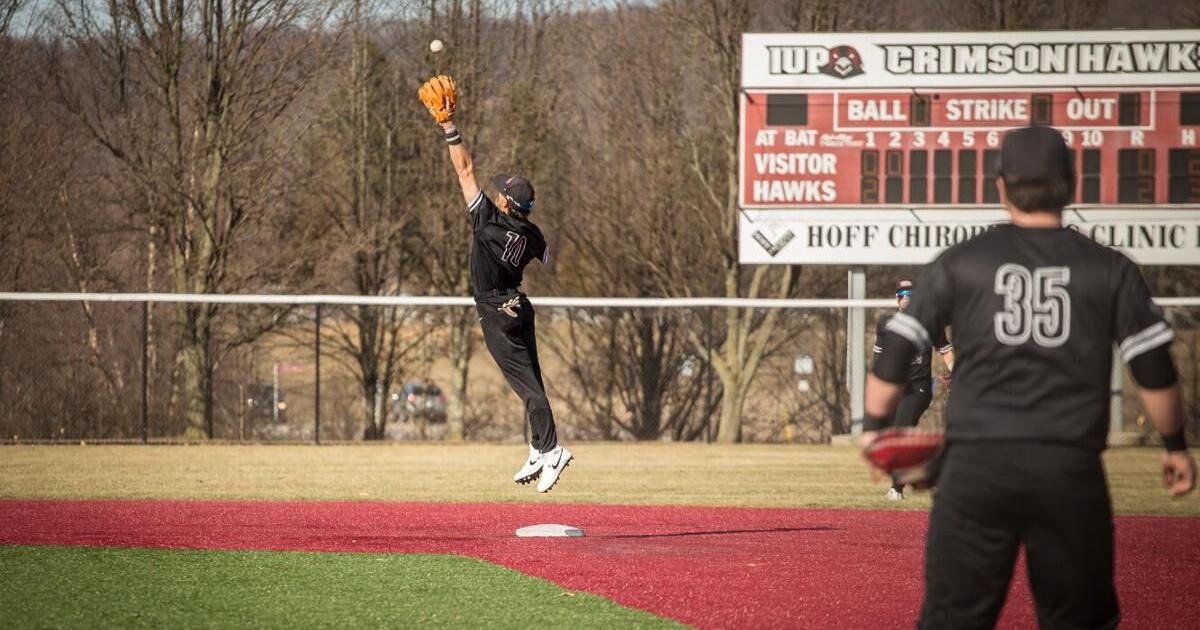 Baseball: Hawks split with UPJ, fall to third in division | Sports ...