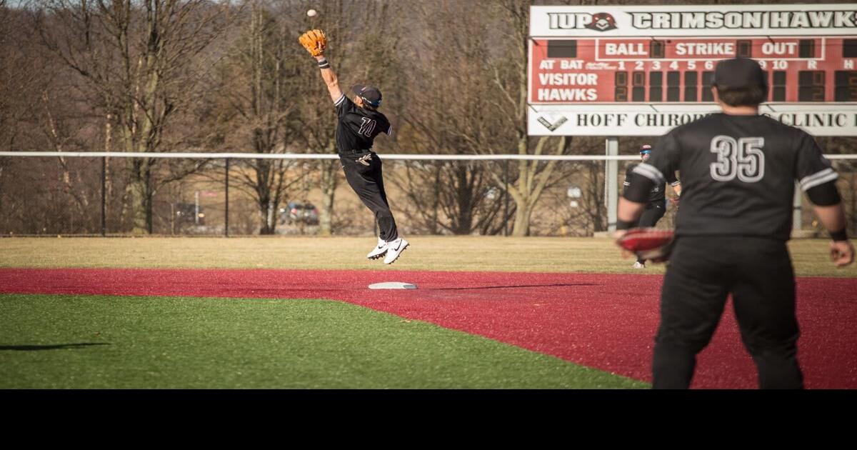 Baseball: Hawks split with UPJ, fall to third in division | Sports ...