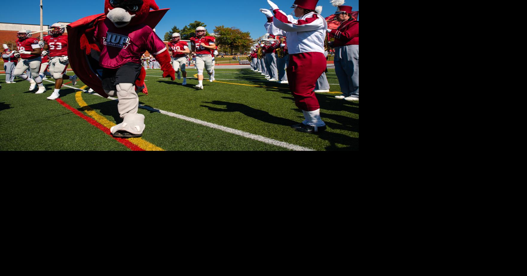 Crimson Hoax: Norm makes history as first bird to be nominated for ...