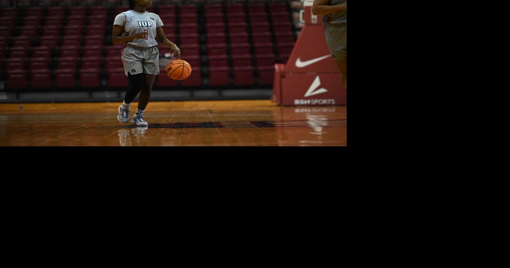 WBB: Shorthanded Hawks split weekend action | Sports | thepenn.org