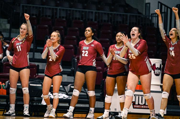 Volleyball: Crimson Hawks bounce back, sweep Edinboro | Sports ...